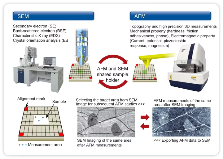 The Hitachi-proprietary SEM/AFM shared alignment holder provides quick and easy measurements and ...
